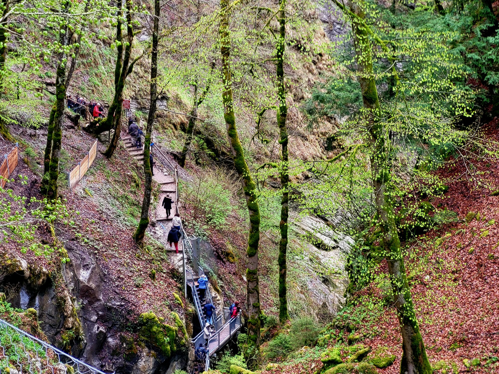 1ère Sortie de printemps 2022 - RSAR